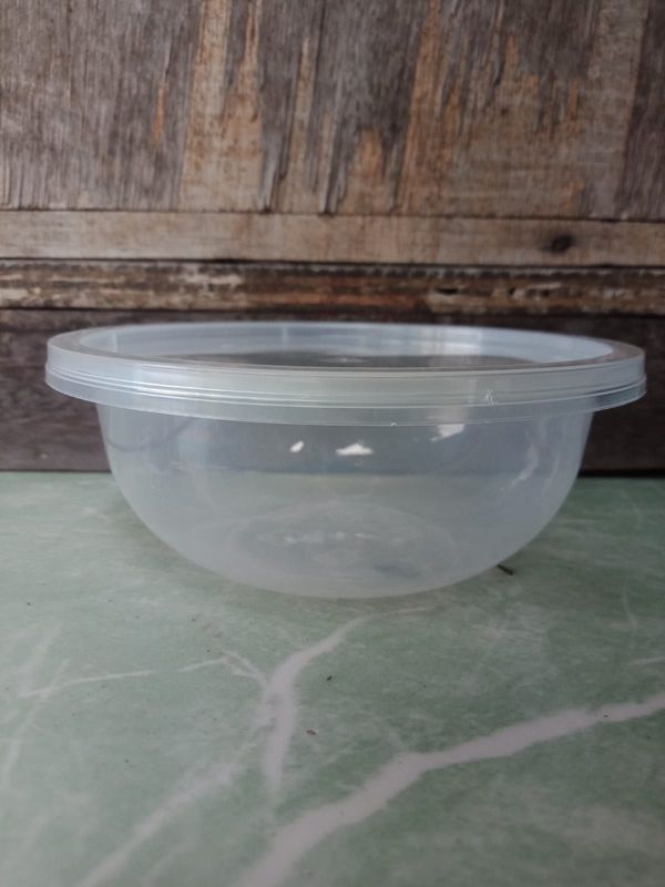 Thinwall/tempat puding 250ml