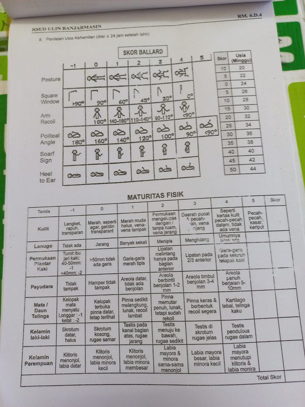 RM 6 D.4 - Data Medis Neonatus No.3d skor ballard hal.2(A4)(per-buku)