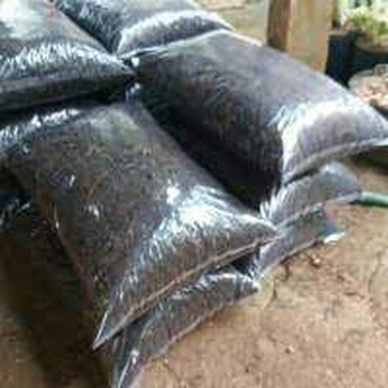 Pupuk Kompos Organik