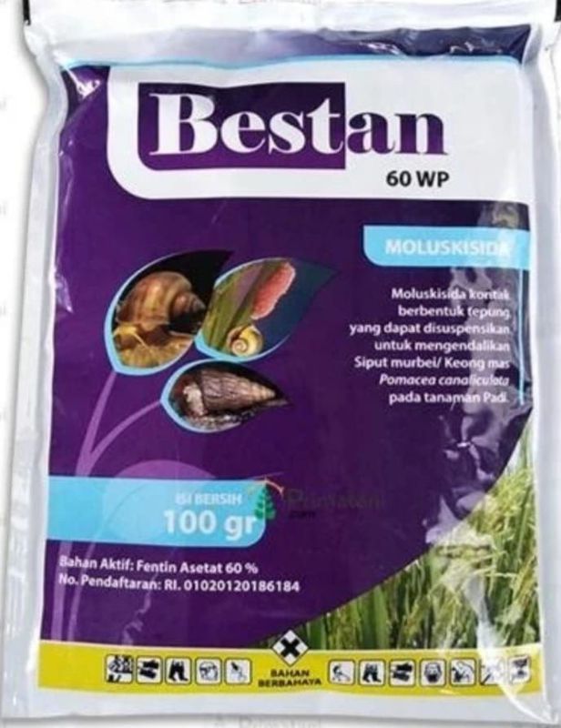 BESTAN 60 wp
