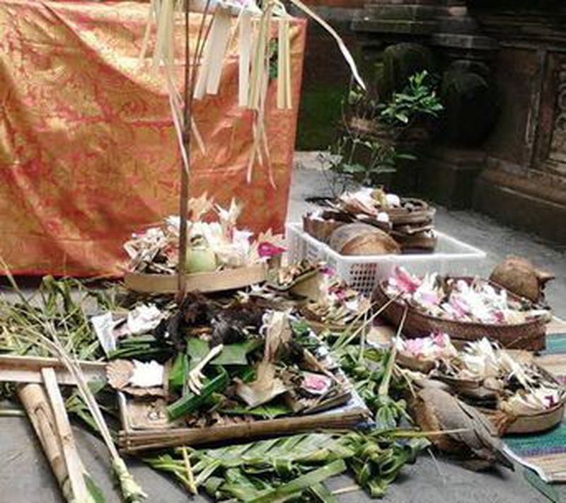 Tebasan Caru Biasa/Paket