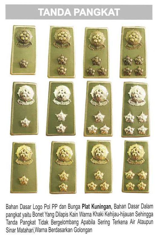 TANDA PANGKAT POLPP