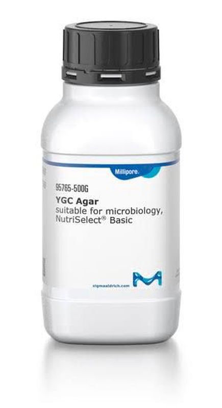 YGC Agar