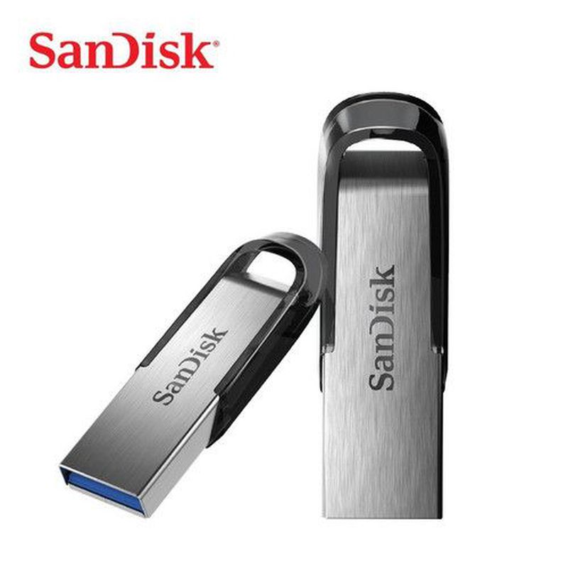 USB Flashdisk Sandisk 64 GB Besi
