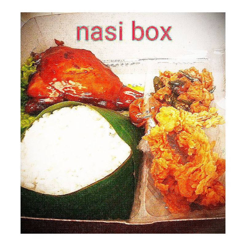 nasi box