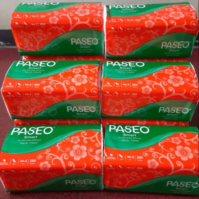 Tisue Wajah - Paseo Smart Facial Tissue 250 sheet 2ply