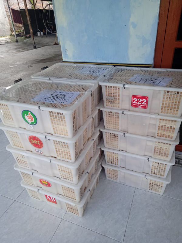 Balok Unit PAUD (Seri 100)