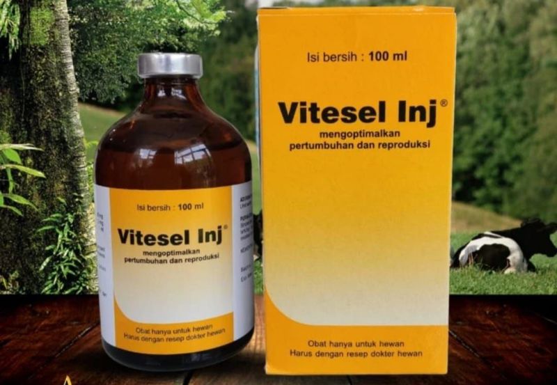 Vitamin E dan Sodium Selenite