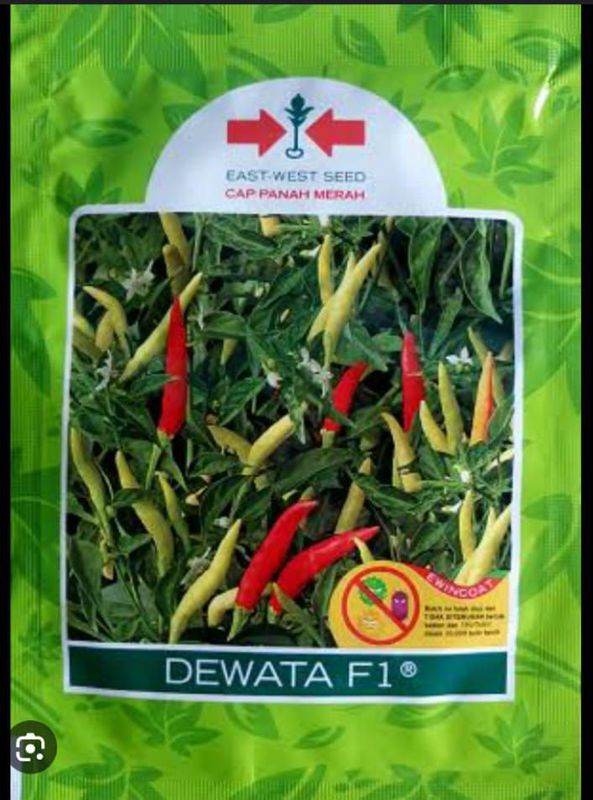 BENIH CABE RAWIT DEWATA F1 350 BUTIR