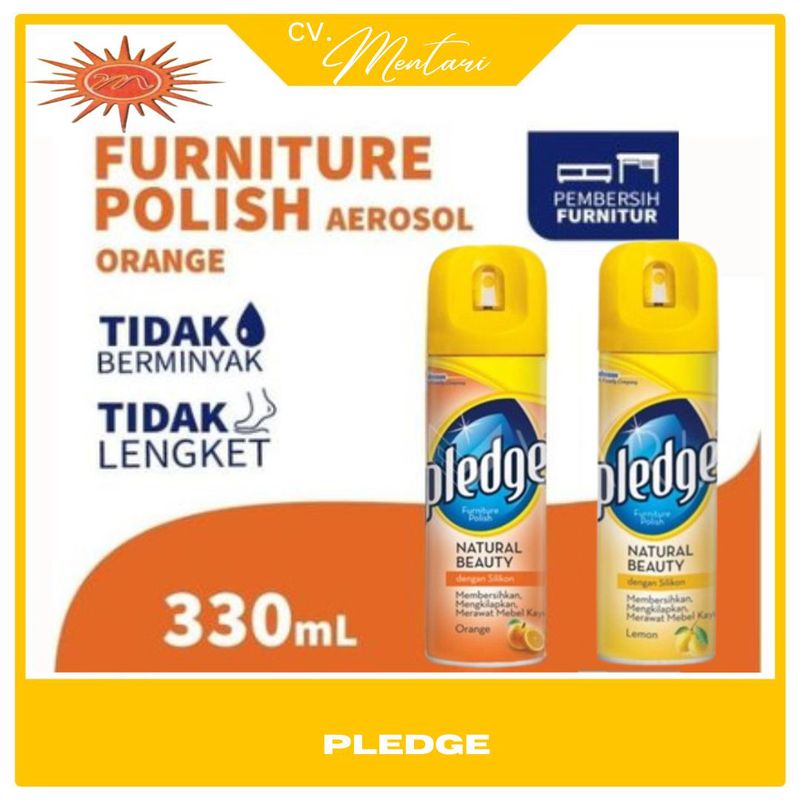 PLEDGE