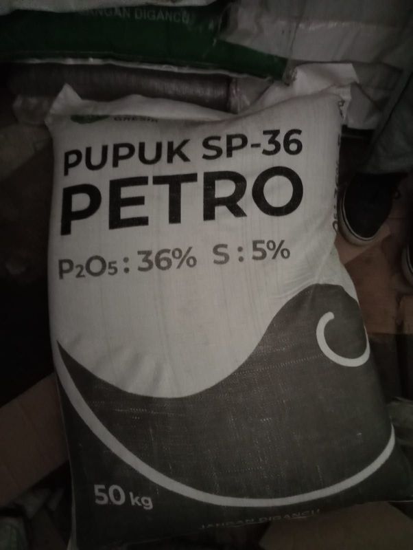 Pupuk SP-36