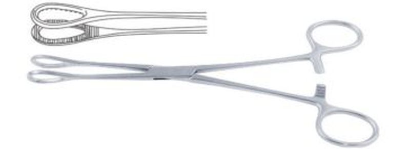 MARWA - FOERSTER SPONGE FORCEP STRAIGHT SERRATED 25cm (19-1020)