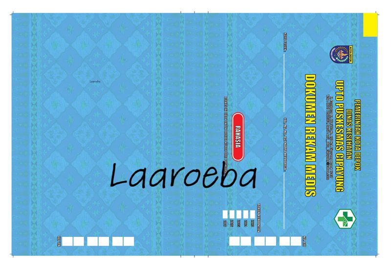 CUSTOM CETAK MAP REKAM MEDIS PUSKESMAS / RUMAH SAKIT ART CARTON 310 GR ...