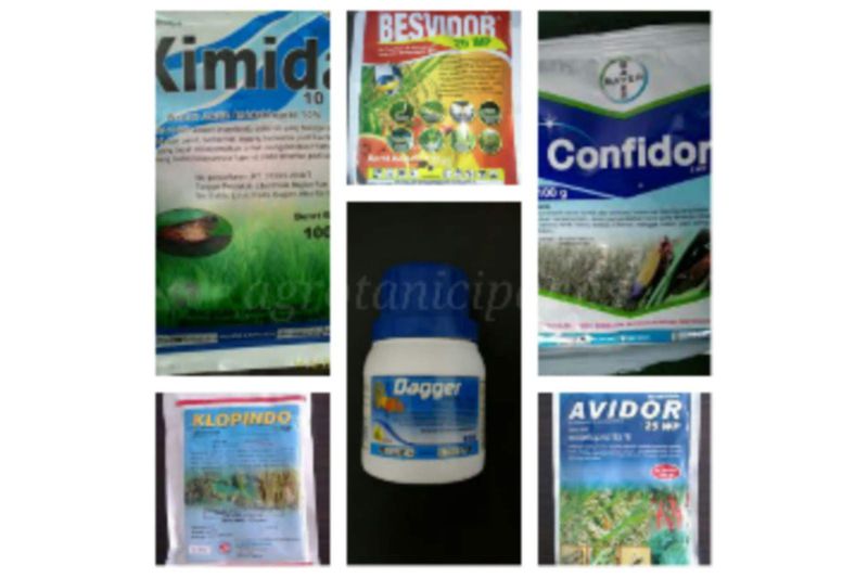 Insektisida berbahan aktif imidakloprid