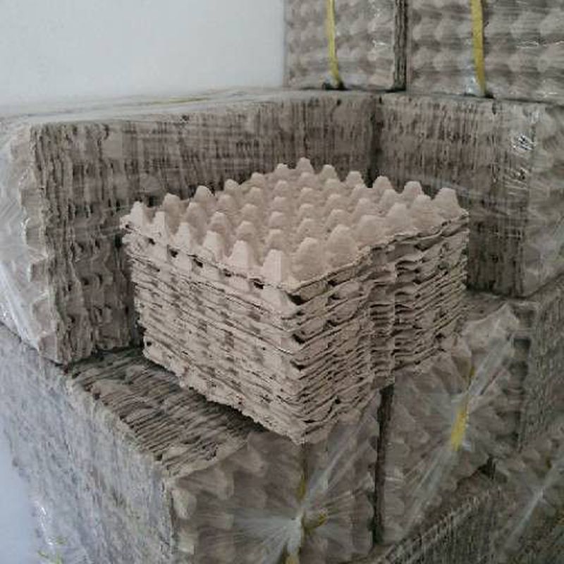 Tempat / alas / Rak Telor / Tray Telur kertas /Karton 30 lubang Telur