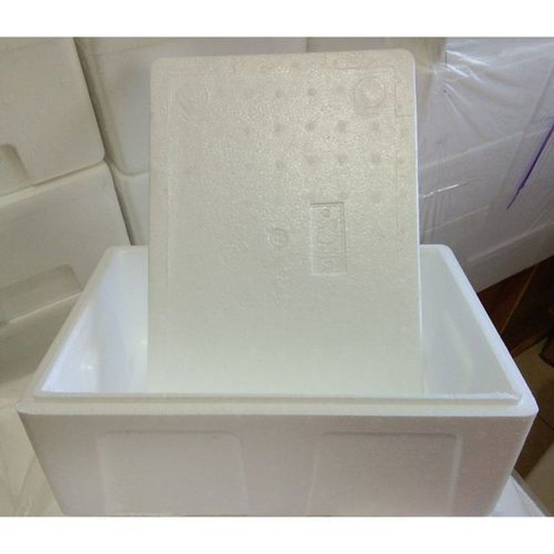 Styrofoam/sterofoam box (sedang)