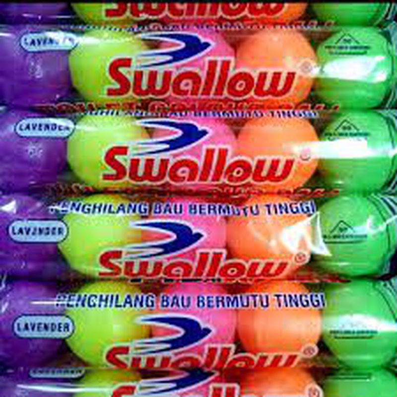 Kamper Swallow isi 5