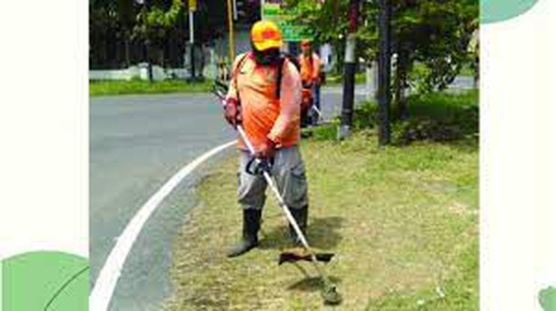 Perintisan/pembabatan rumput/gulma 13.000/m2