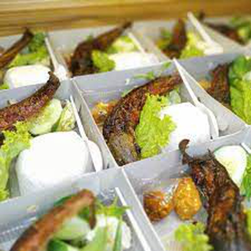Paket Nasi Ikan Lele Goreng