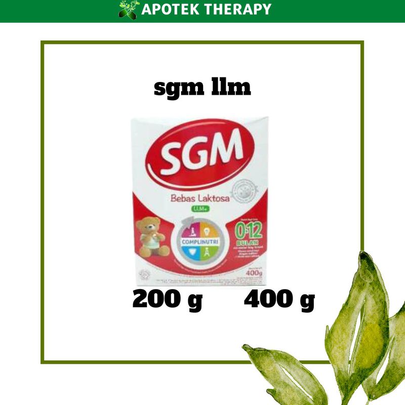 sgm llm - 400 G