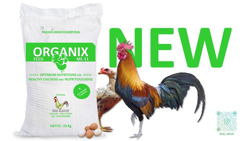 PAKAN AYAM PETELUR KOMBINASI 25.KG