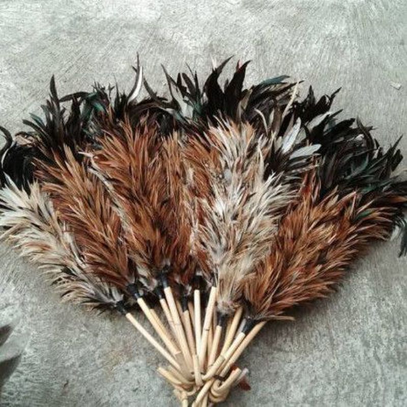 kemoceng bulu ayam
