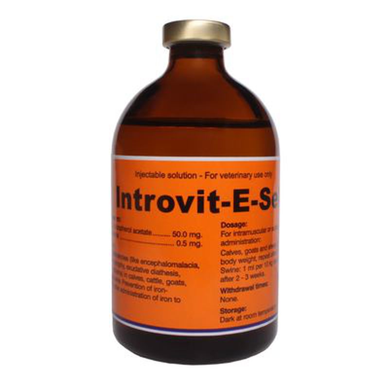Introvit E Selen (100ml)
