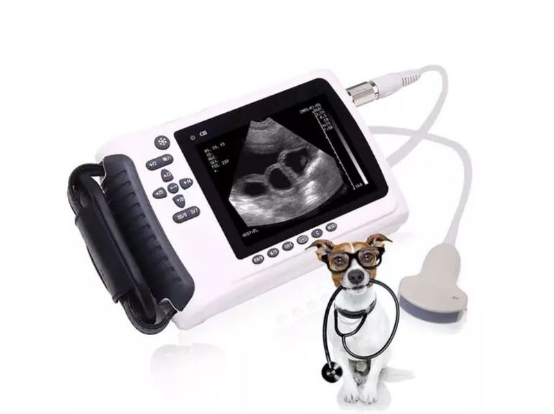 USG VET ULTRASOUD PORTABLE USG
