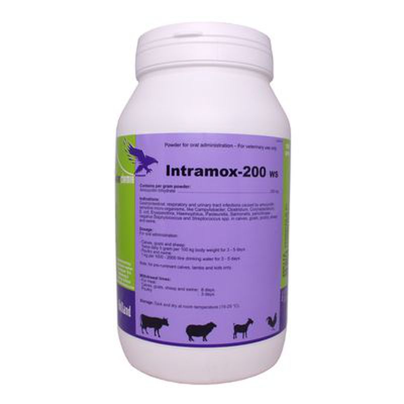 Intramox 200 WS 1KG