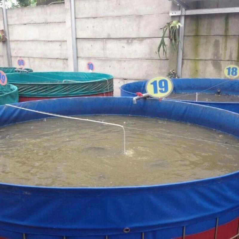 Kolam Terpal diameter 3m