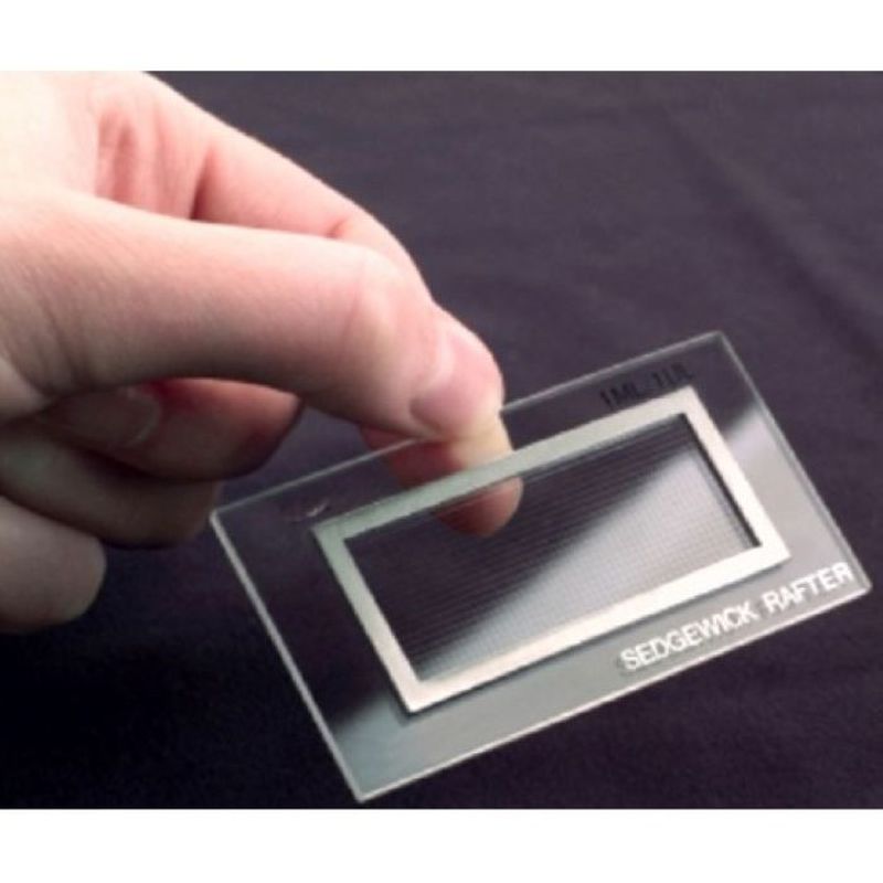 Sedgewick Rafter Counting Cell