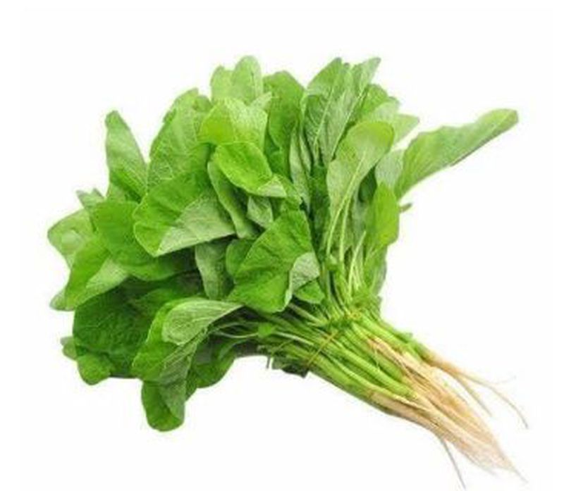 Sayuran segar Bayam / sawi hijau