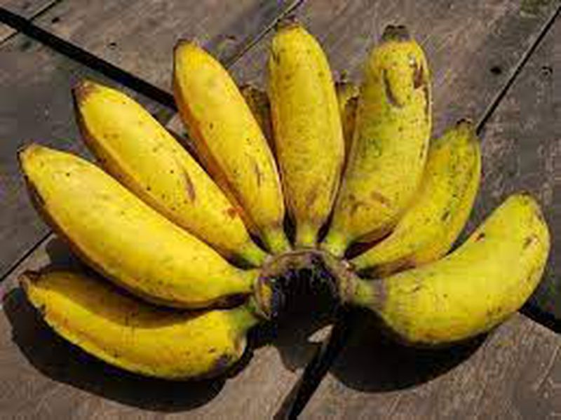 PISANG