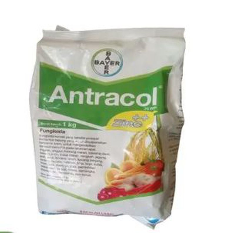 antracol 500 gr