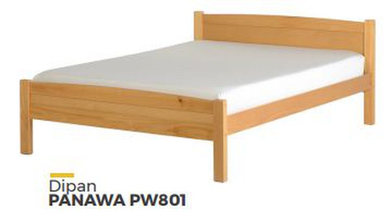 Dipan PANAWA PW801