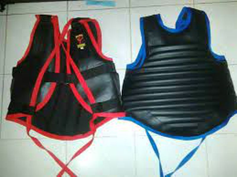 Body Protector Pencak Silat