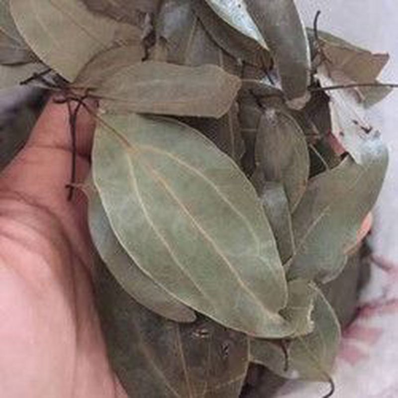 Daun Manis Jangan (kering)