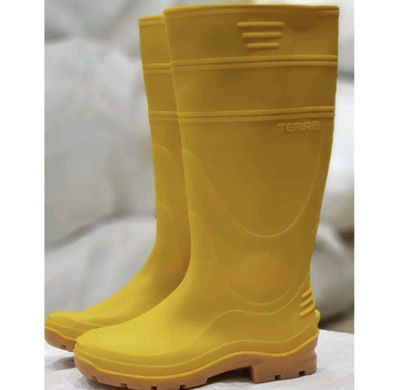 AP Boots Terra