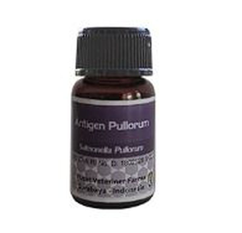 ANTIGEN PULLORUM