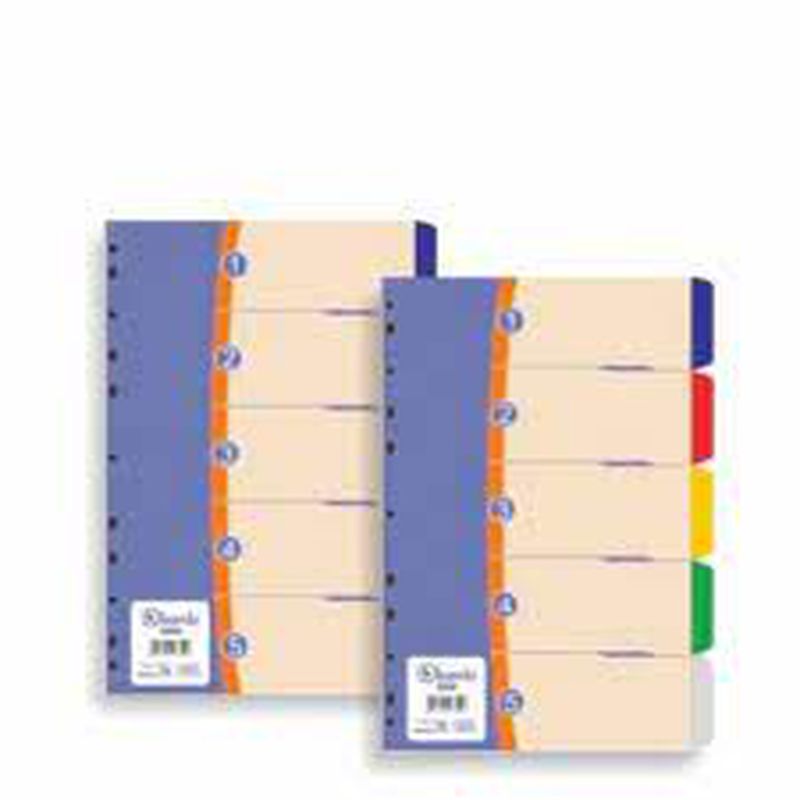 Bambi Divider Plastik / Pembatas Binder Plastik 5 warna - A4