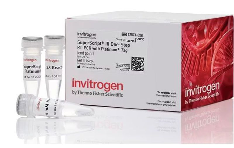 Mastermix RNA Conventionat Invitrogen