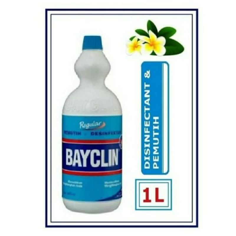 BAYCLEAN