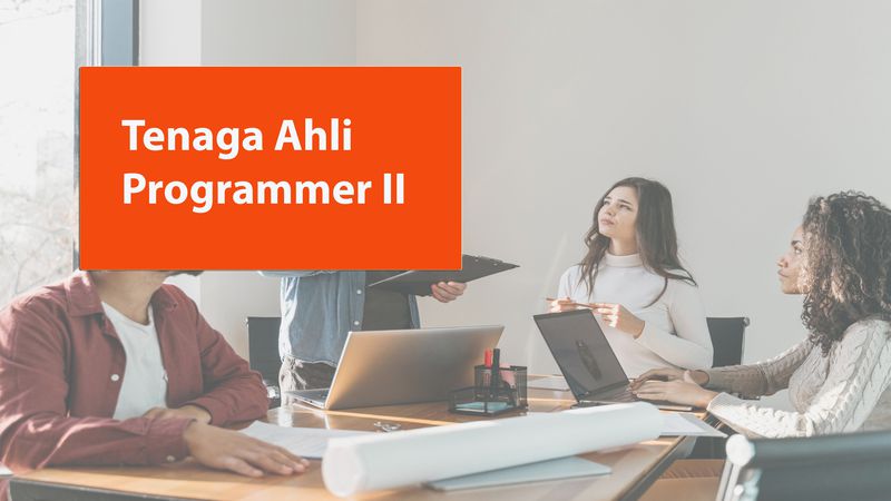 Jasa Tenaga Ahli Programmer II