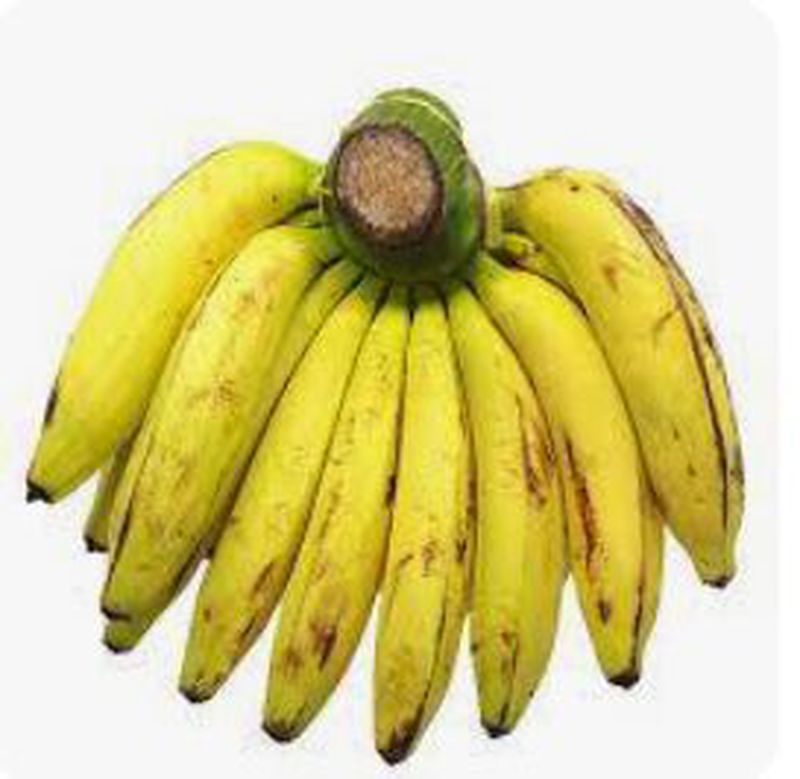 PISANG