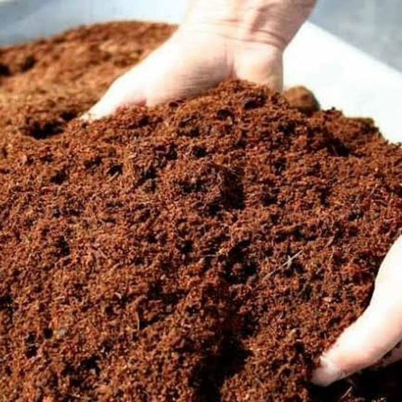 Tanah Merah/Tanah Bunga