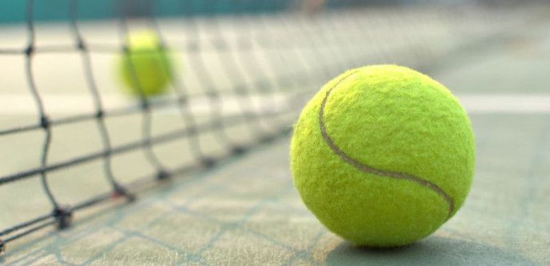 Bola Tenis Lapangan