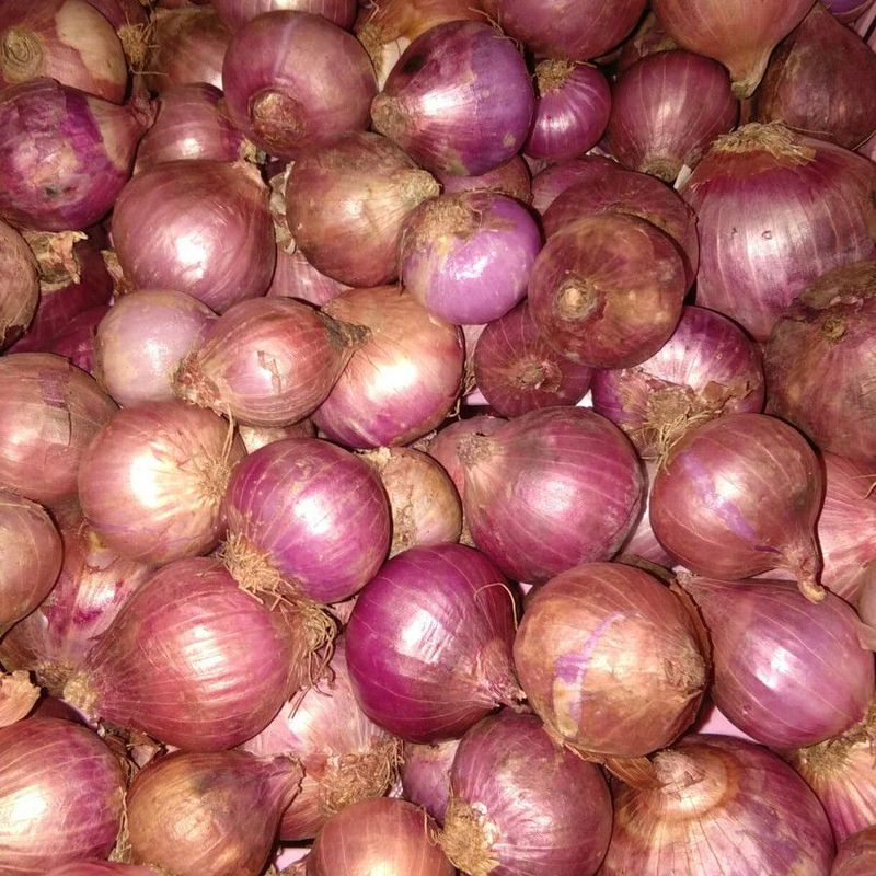 Bawang Merah