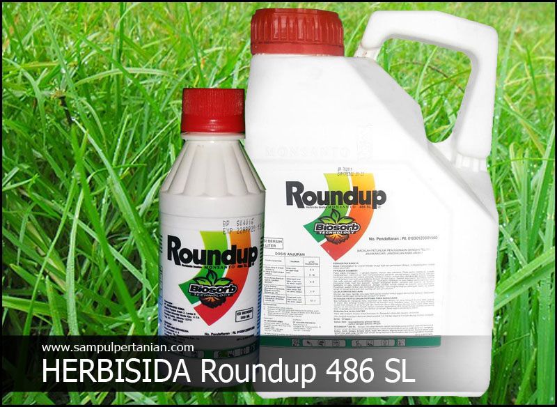 Herbisida Sistemik Round up