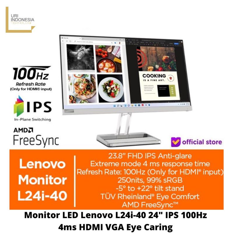 Monitor LED Lenovo L24i-40 24" IPS 100Hz 4ms HDMI VGA Eye Caring