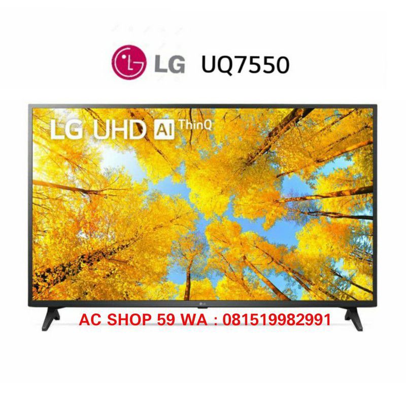 Televisi LG 55 inch